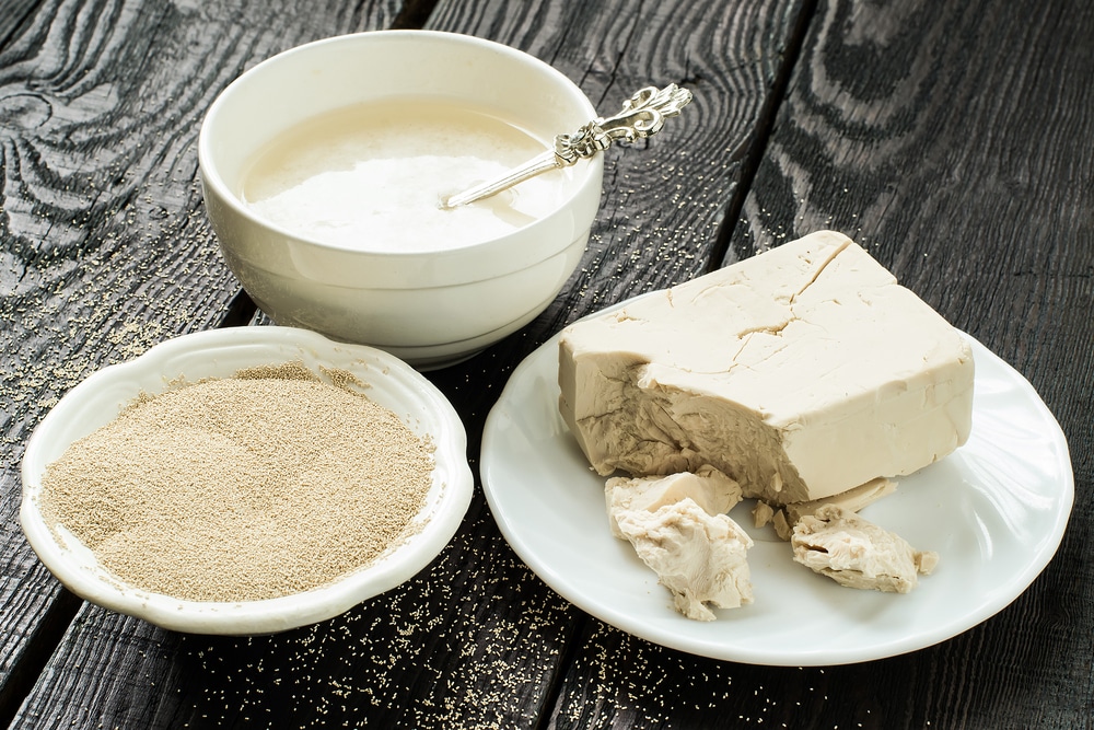 Die verschiedenen Hefearten und ihre Besonderheiten | Omas Blog